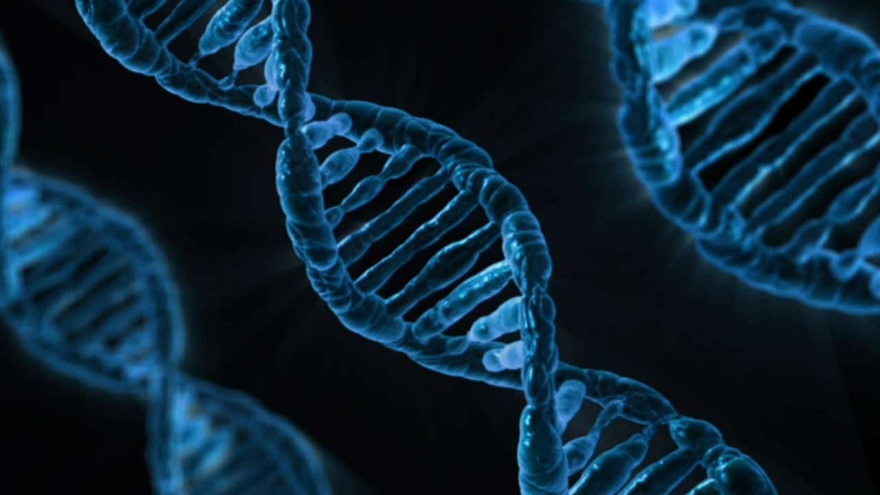The Impact Of Nutri Stat Biomarkers - Wellness + Wisdom